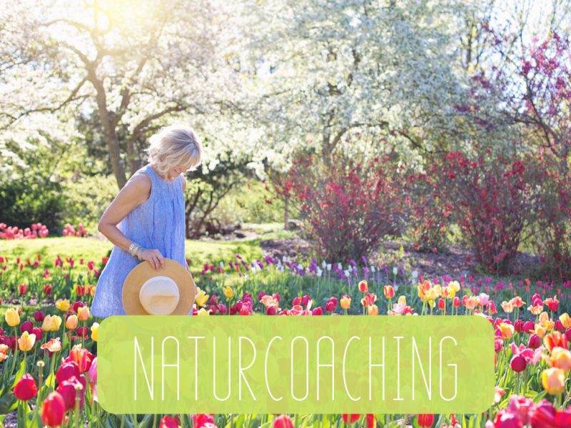 Was ist ein Natur Coaching? I Life Coach I Alexandra Christina Bauer